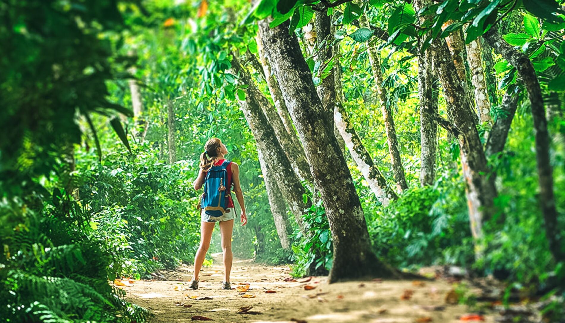 Als Frau allein nach Costa Rica: 5 Tipps für die Solo-Reise - WeDesignTrips