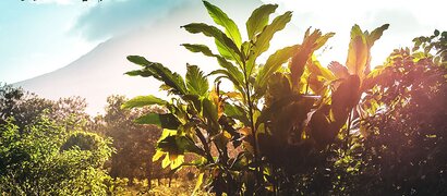 Costa Ricas Top 5 Städte: Das ist sehenswert! >> - WeDesignTrips