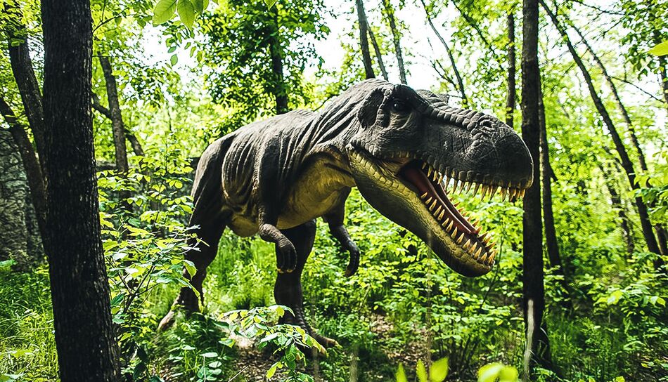 Costa Rica: 8 Highlights im Rincón de la Vieja - WeDesignTrips