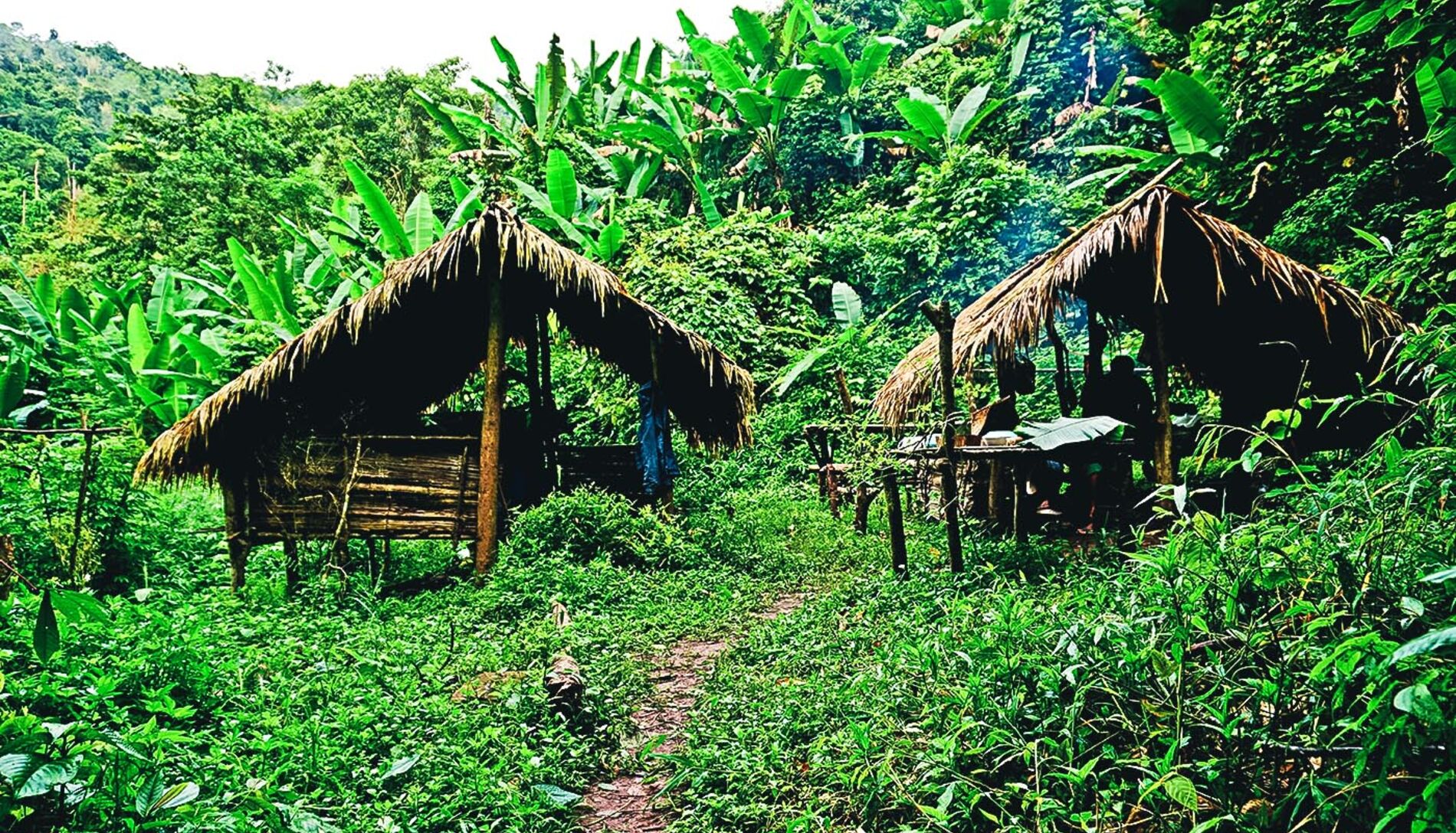 Die Top 7 Nationalparks Laos, die Du nicht verpassen solltest ...