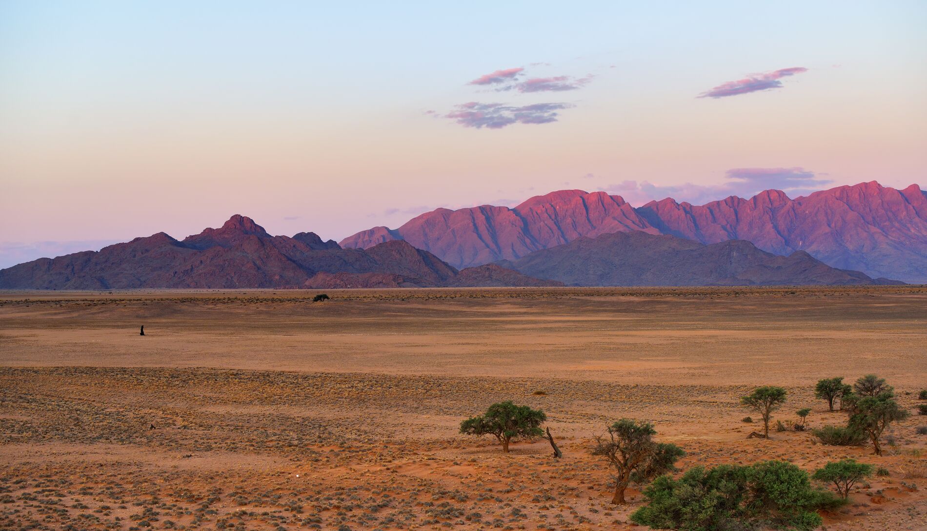 5 Highlights im Namib-Naukluft Nationalpark - WeDesignTrips