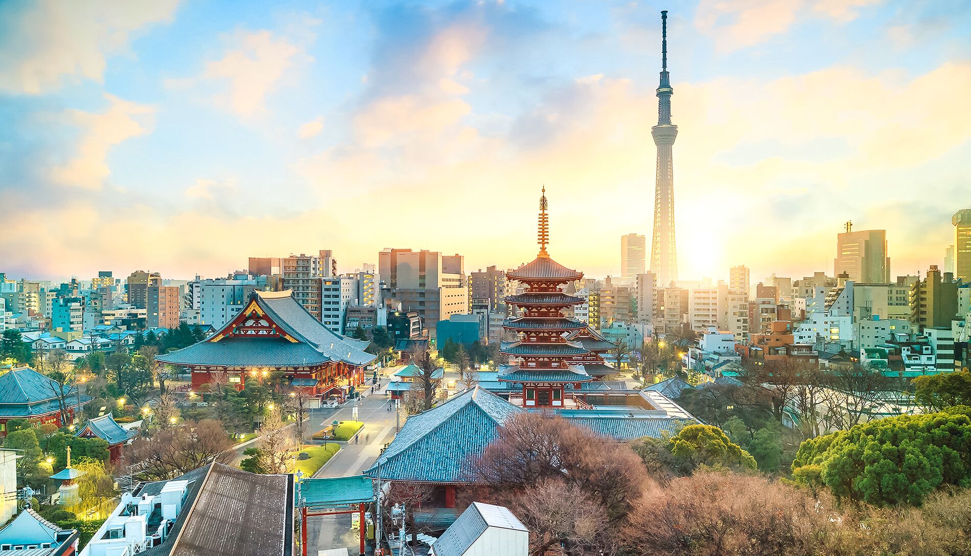 Japan Highlights: 5 nützliche Tipps und Infos - WeDesignTrips