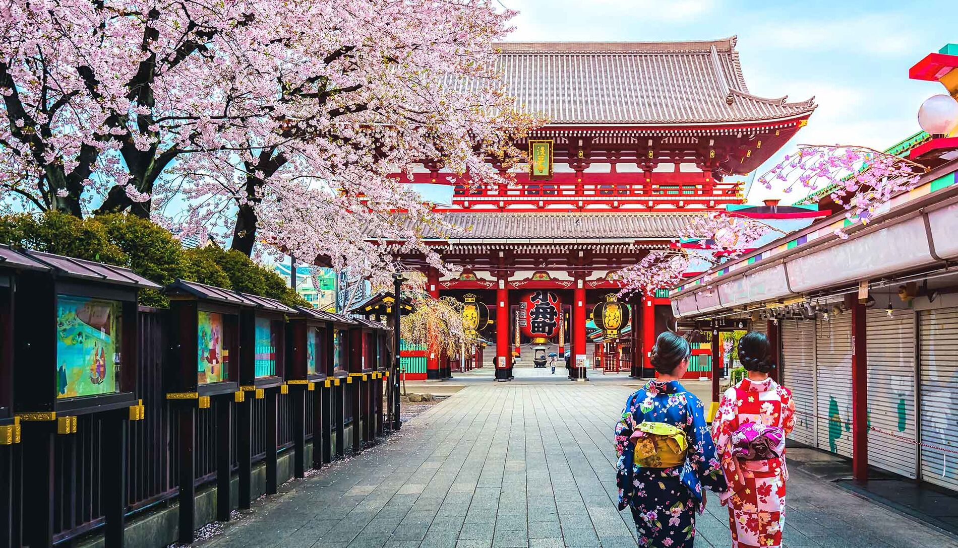 Japans Kirschblüte: Diese 5 Dinge solltest Du wissen - WeDesignTrips