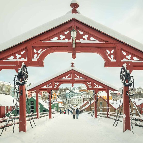 Norwegen: Trondheim und seine Top 7 Highlights - WeDesignTrips