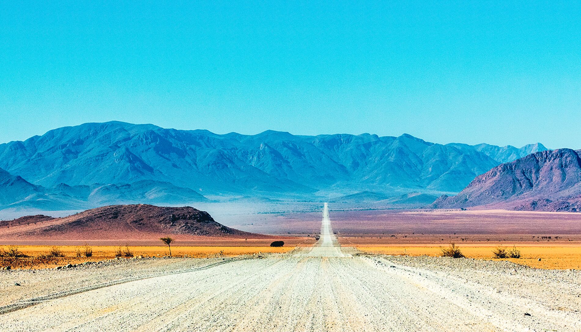 Safari in Namibia oder Südafrika? 7 hilfreiche Infos für Dich ...