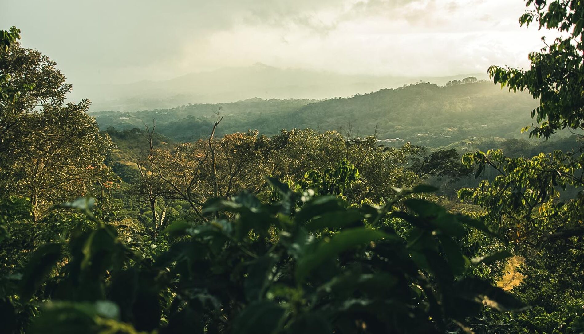 Costa Ricas Top 5 Städte: Das ist sehenswert! >> - WeDesignTrips