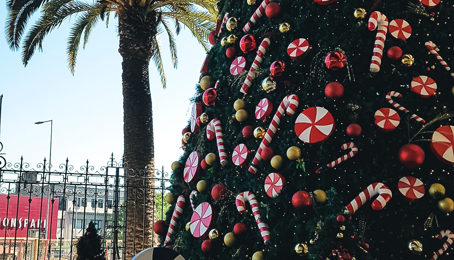Weihnachten in Chile: Traditionen und Empfehlungen - WeDesignTrips