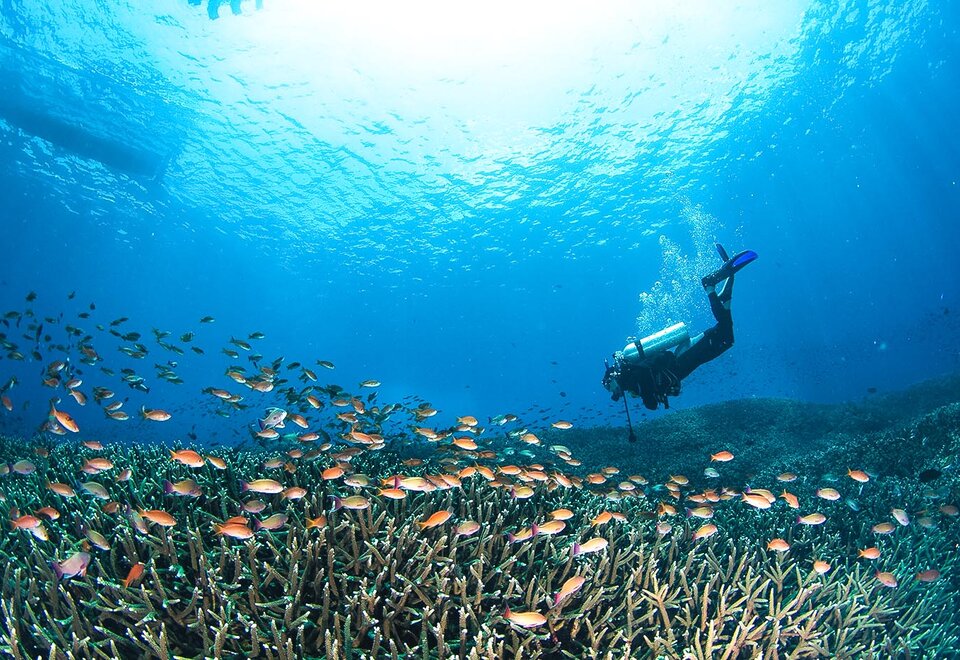 Top 10 Trauminseln Indonesiens - WeDesignTrips