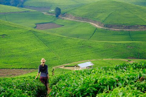 Highlightreise: Große Entdeckungsreise durch Ruanda - WeDesignTrips